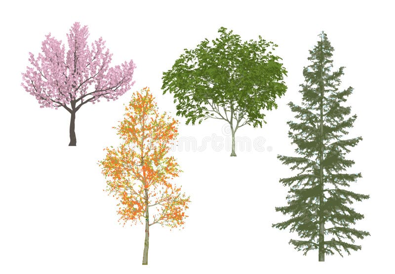 Trees on white background. stock vector. Illustration of seasonal - 7054334