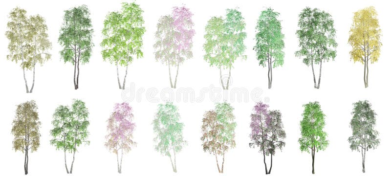 16 Trees on a White Background Stock Illustration - Illustration of ...