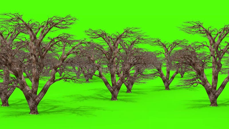 Trees Wind Cemetery Green Screen 3D Rendering Animation 4K Stock ...