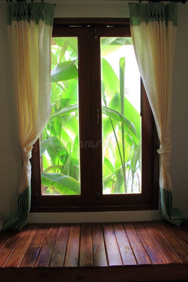Trees window stock image. Image of living, office, nature - 26754871