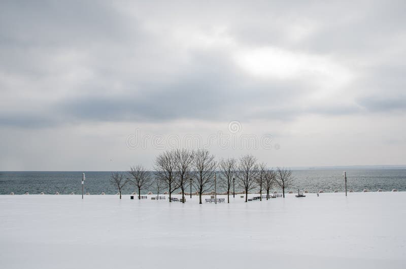 Trees in Winter on the Water Stock Photo - Image of abandoned, isolated ...