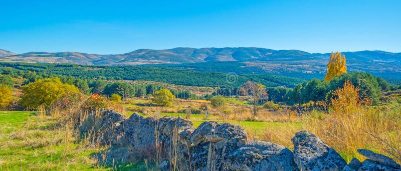 Trees with Yellow Autumn Leaves in a Spanish Hilly Landscape in ...
