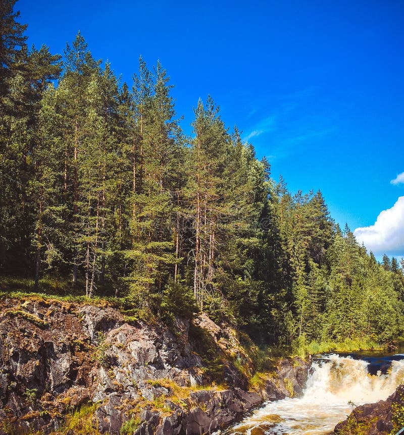 Waterfall among trees stock image. Image of small, descending - 181485745