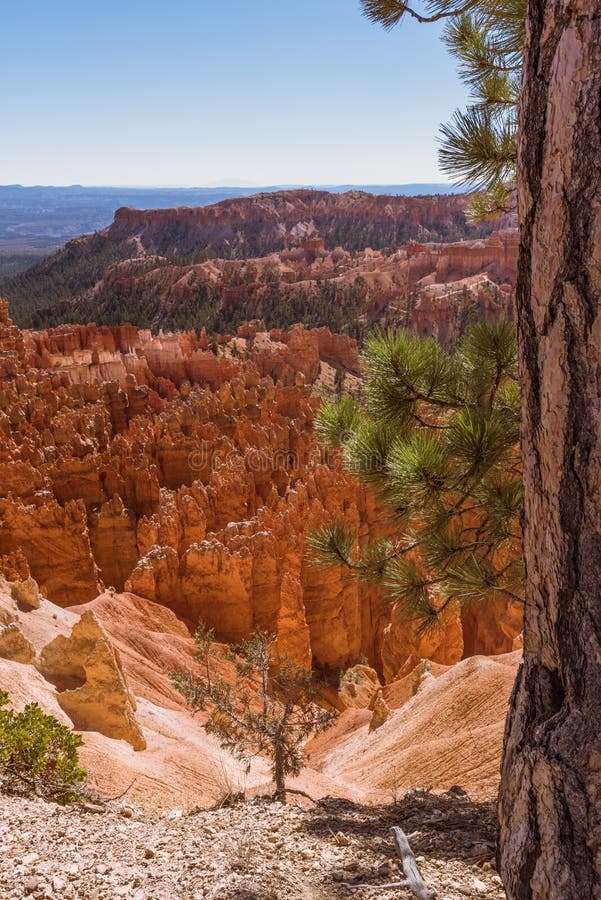 Tree-side View Down the Hillside To the Orange Sandstone Formations of ...