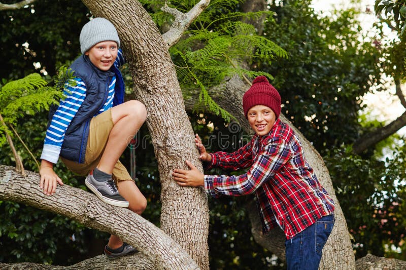 Treetop Adventurers. Two Boys Climbing a Tree Together. Stock Image ...