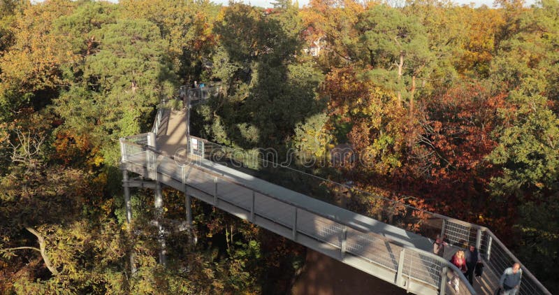 Treetop Canopy Walk in Beelitz, Germany Stock Footage - Video of ...