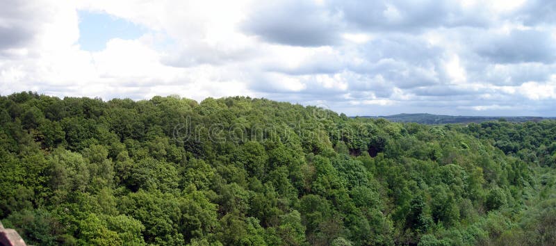 Treetop Landscape stock photo. Image of landscape, nature - 2544078
