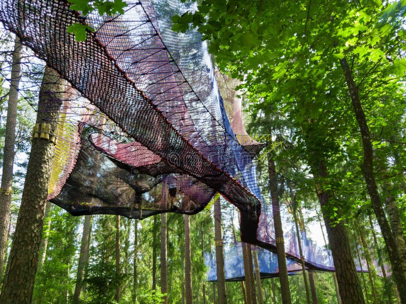 Treetop Net Trampoline Park in Forest Stock Image - Image of adventure ...