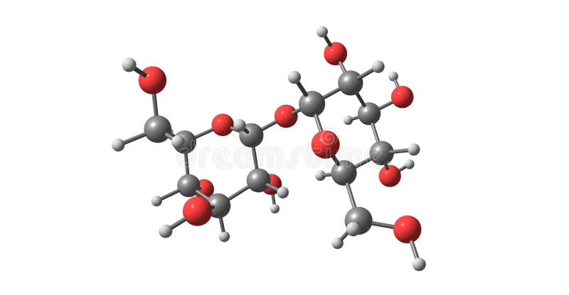 Trehalose Molecular Structure Isolated on White Stock Illustration ...