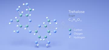 Trehalose, Molecular Structures, Sugar, 3d Model, Structural Chemical ...