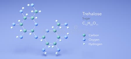 Trehalose, Molecular Structures, Sugar, 3d Model, Structural Chemical ...