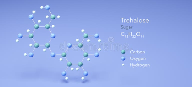 Trehalose, Molecular Structures, Sugar, 3d Model, Structural Chemical ...