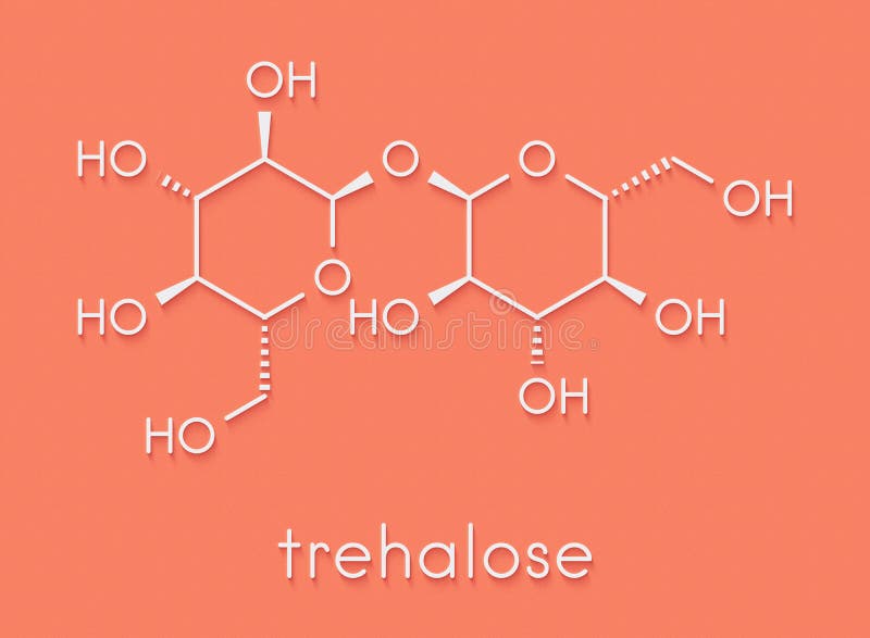Trehalose Mycose, Tremalose Sugar Molecule. Skeletal Formula. Stock ...