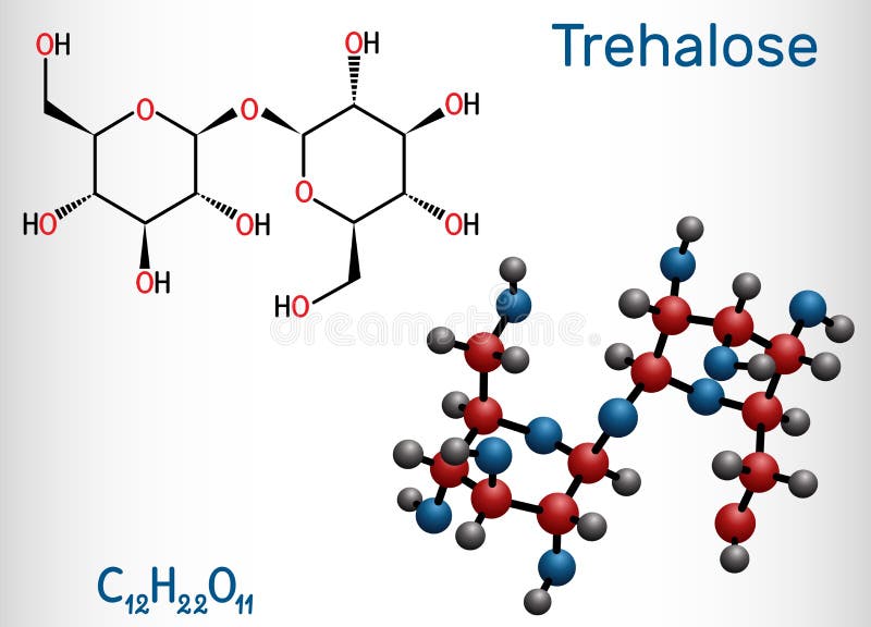 Trehalose, Tremalose Carbohydrate Molecule. Also Known As Mycose. is a ...