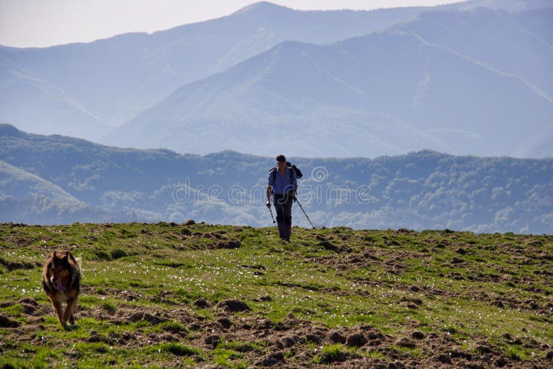 Trekker and His Dog Going Up the Hill in Spring Stock Photo - Image of ...