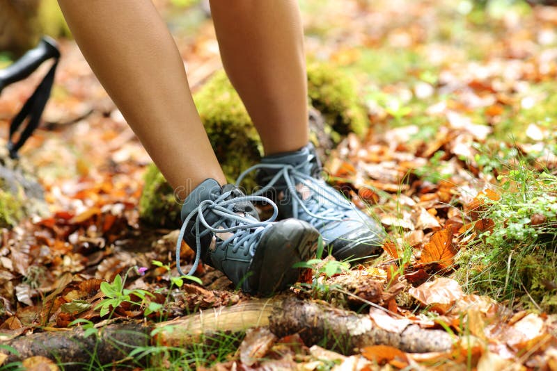 Trekker Stumbling Suffering Sprain on Ankle in a Forest Stock Photo ...