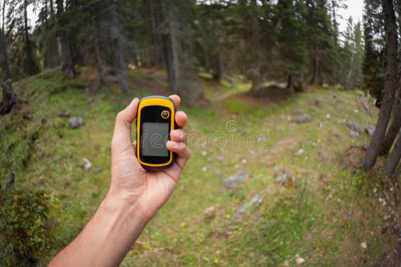 A Trekker Using a Gps Inside the Forest Stock Image - Image of ...