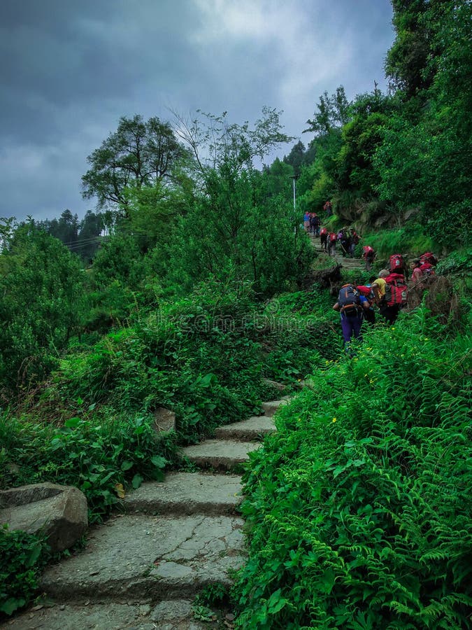 Trekkers are Walking on the Stone Path between the Shrubs Editorial ...