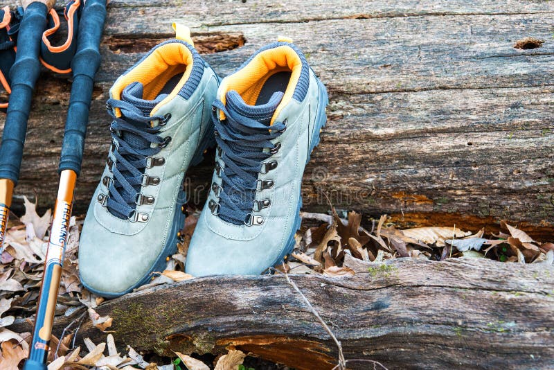 Trekking Boots and Trekking Poles on a Log in the Forest Stock Photo ...