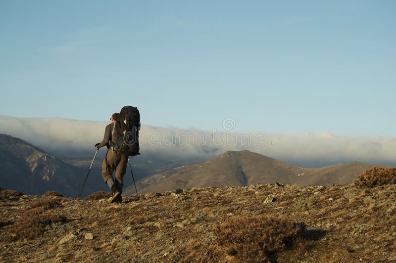 Kissing in the Field stock photo. Image of grey, agriculture - 3839340