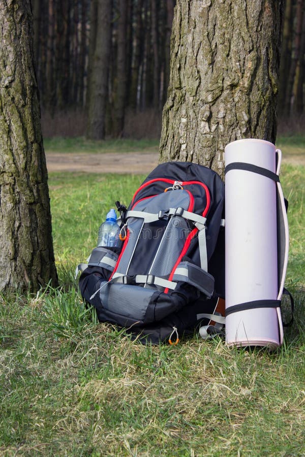 Trekking Heavy Backpack in Forest with Green Jars of Water. Stock Image ...