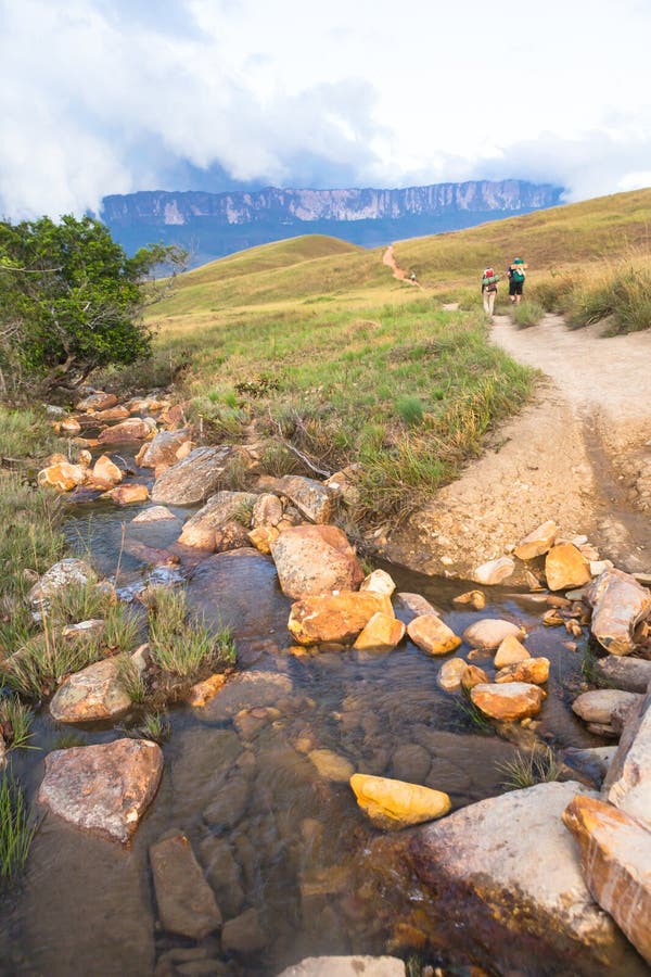 Trekking Mount Roraima stock photo. Image of sabana - 103150708