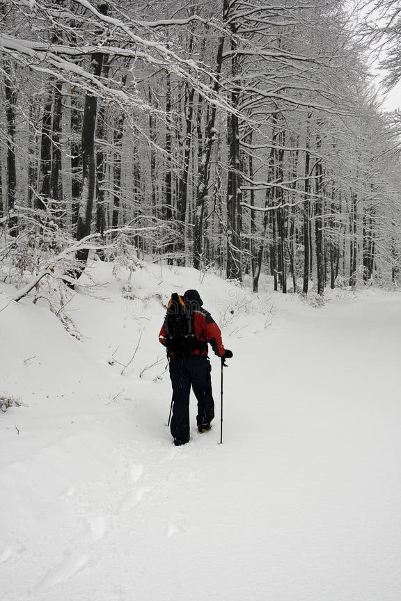 Trekking sulla neve fotografia stock. Immagine di inverno - 12502626