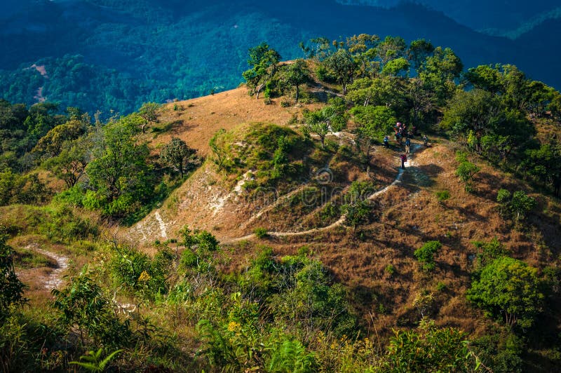 Trekking Path on the Mountain in National Park Tak, Thailand Stock ...