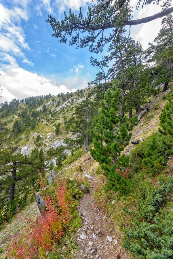 Trekking Path in Mountains in Greece Stock Photo - Image of green, hill ...