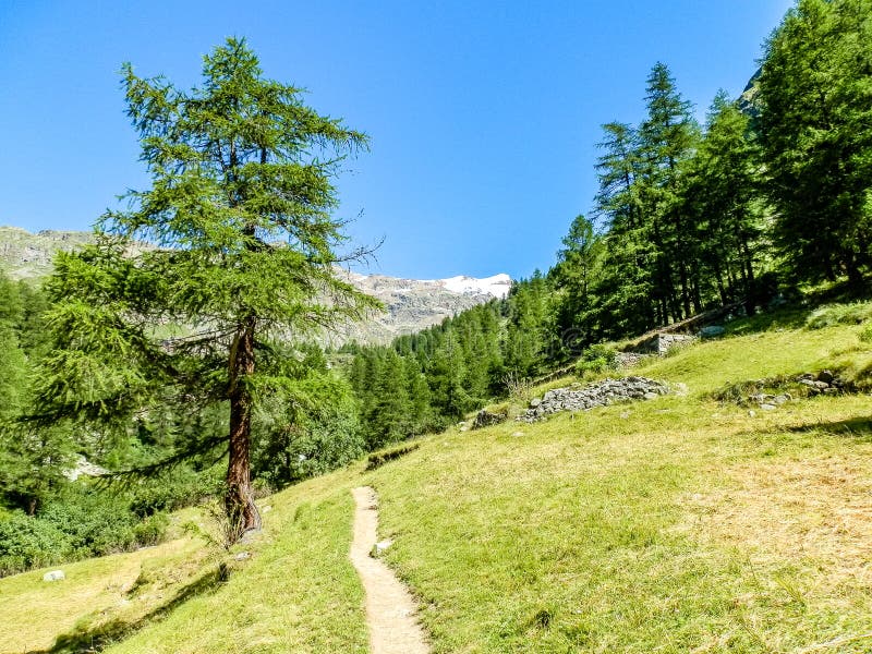 Trekking Pathway in an Alpine Valley Stock Image - Image of cold, monte ...