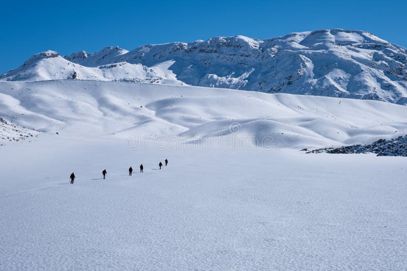 Team on Mountain Top & Successful People Stock Image - Image of team ...