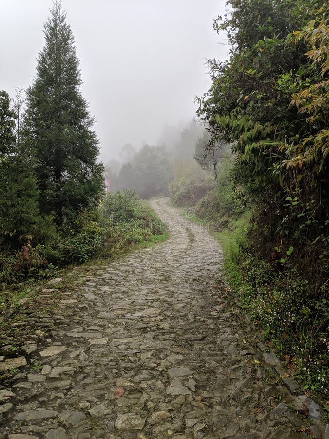 Trekking from Rishop To Lava Stock Photo - Image of trekkinh, calm ...