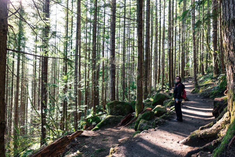 Trekking in Seattle Washington Rattlesnake Ledge Trail Stock Afbeelding ...