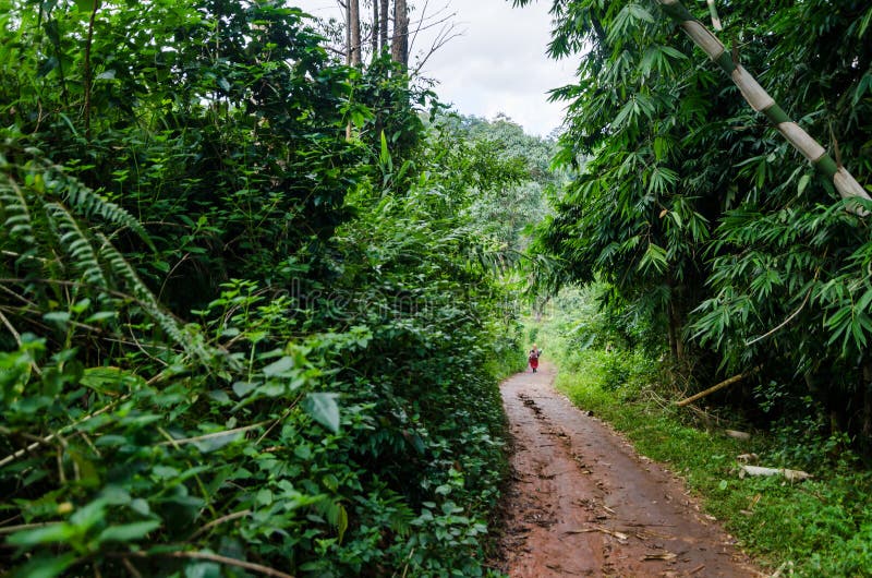Trekking trail stock image. Image of road, track, path - 109133523