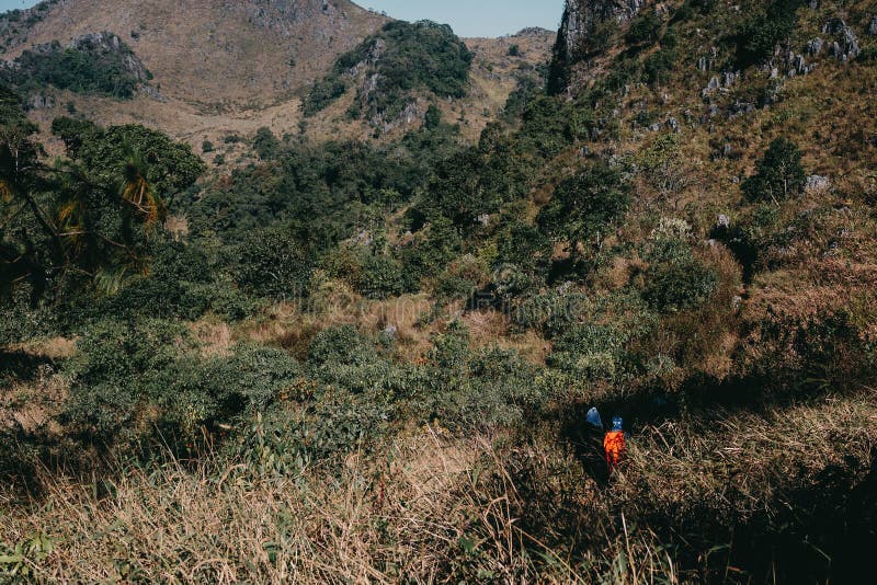 Trekking Walking Team in Forest and Mountain Stock Photo - Image of ...