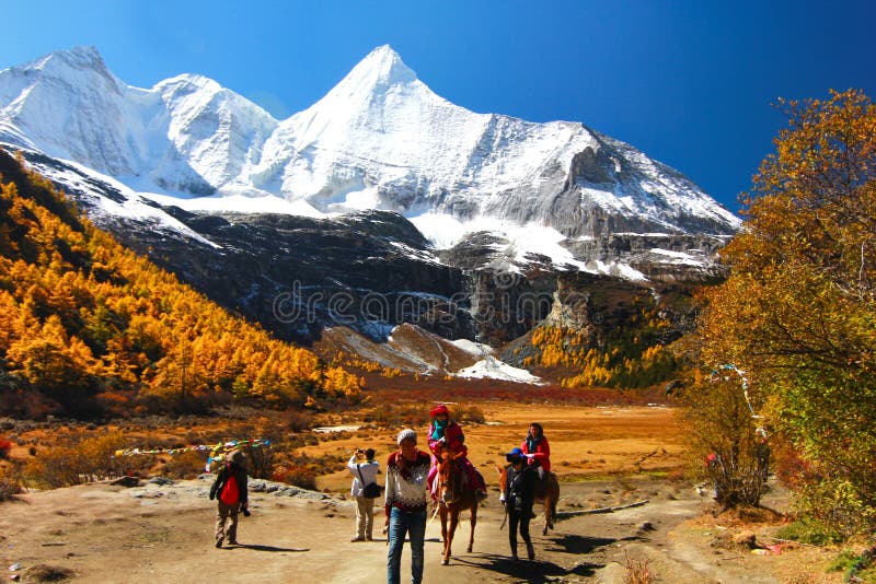 Trekking at Yading Nature Reserve in Daocheng County ,China Editorial ...