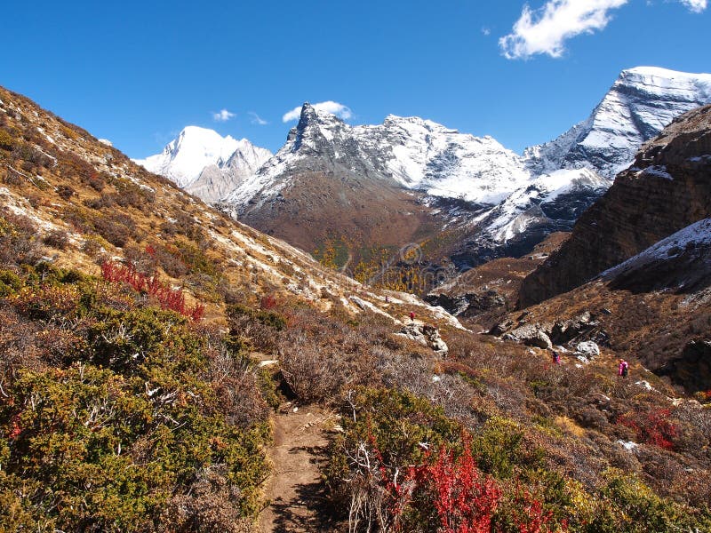 Trekking at Yading Nature Reserve in Daocheng County ,China Stock Photo ...