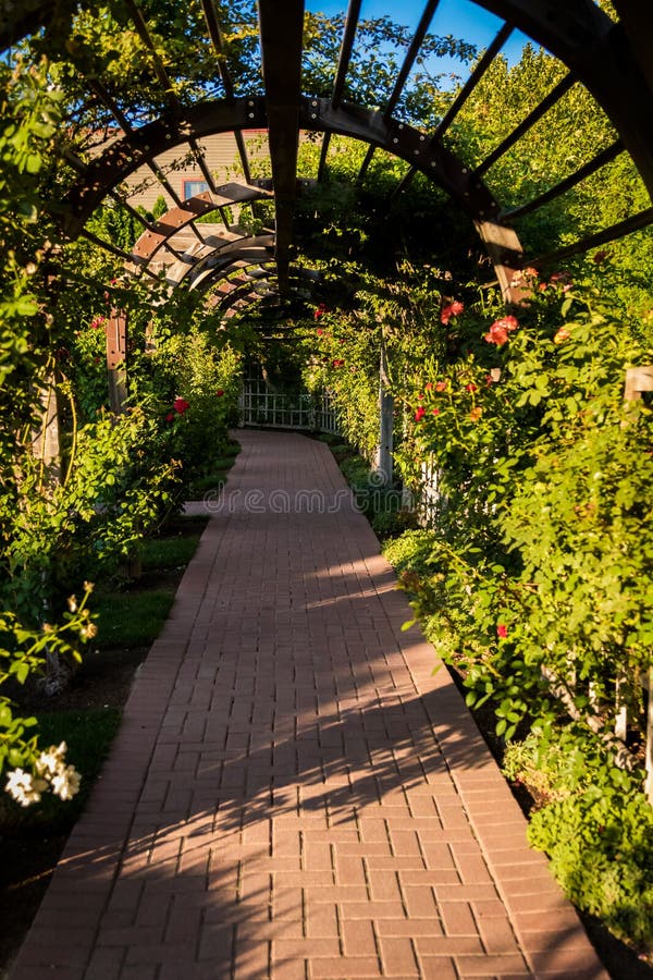 488 Walkway Trellis Photos - Free & Royalty-Free Stock Photos from ...