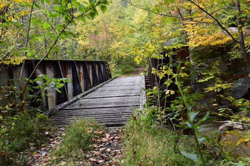 Trestle in the Forest stock image. Image of scene, earth - 47379297