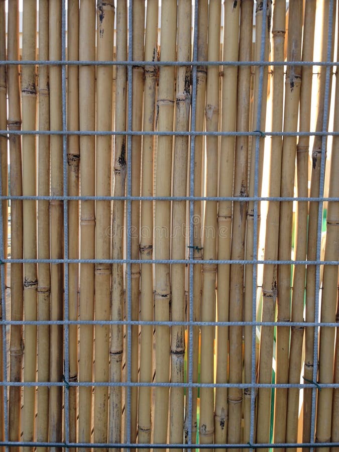 Trellis stock photo. Image of trellis, texture, bamboo - 56038896