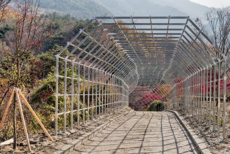 Trellised Tunnel Walkway in Park Stock Image - Image of environment ...