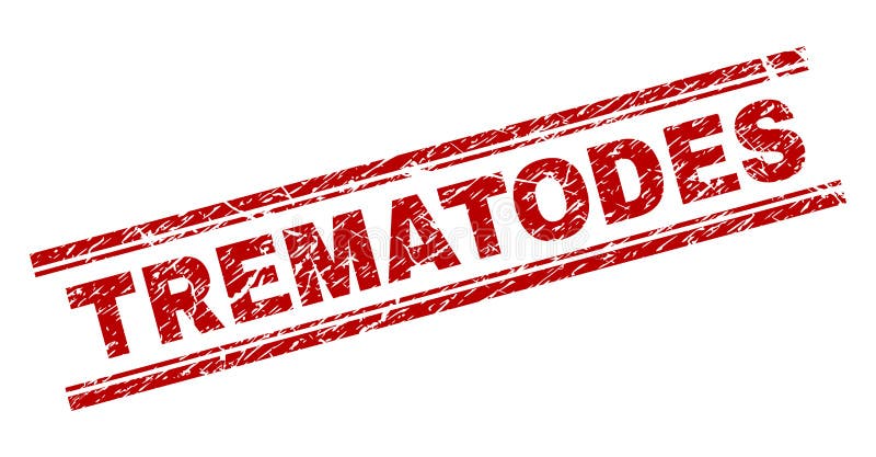 Grunge Textured TREMATODES Stamp Seal Stock Vector - Illustration of ...