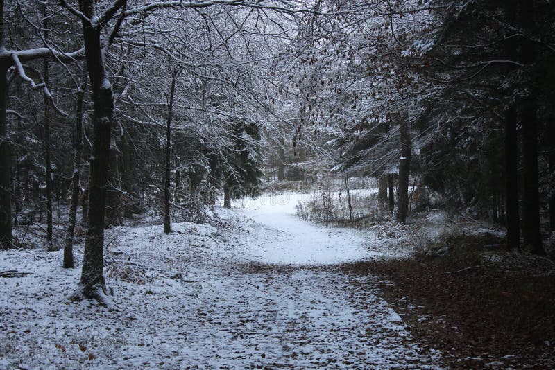 533 Scary Snow Woods Photos - Free & Royalty-Free Stock Photos from ...