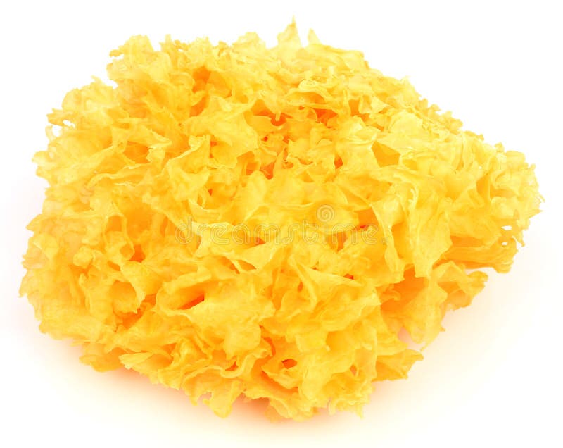 Tremella image stock. Image du santé, oreille, fond, traditions - 41675419