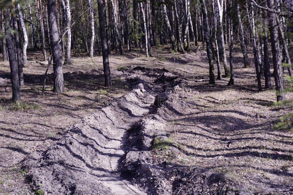Trench in the forest stock image. Image of wilderness - 180552113