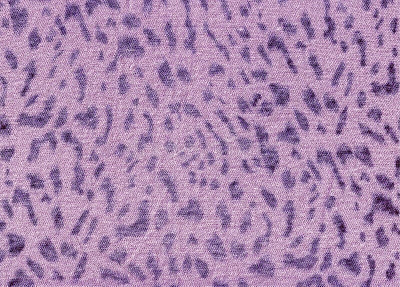 Violet Leopard Fabric Pattern Texture Stock Image - Image of halftone ...