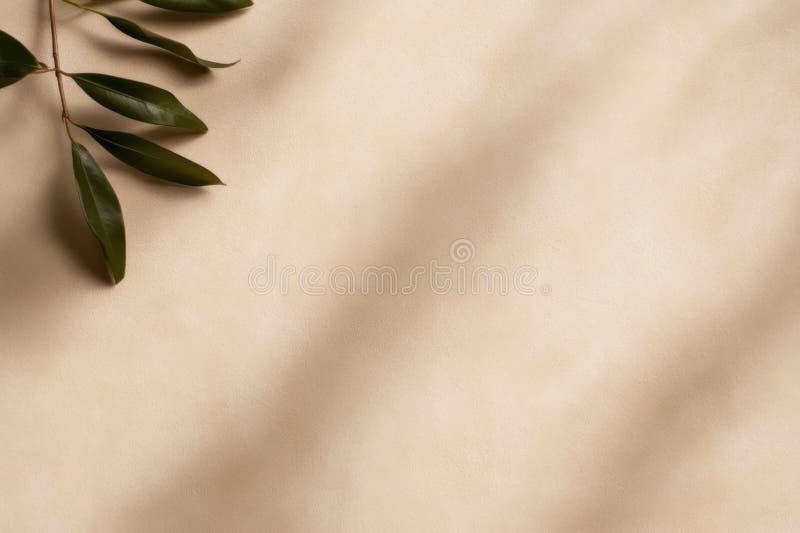 Trendy Abstract Tree Leaves Shadows on Beige Wall Texture Background ...