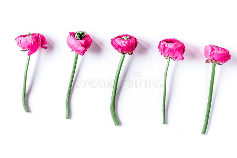 Trendy Design with Flower Pattern on White Background Top View Mock Up ...