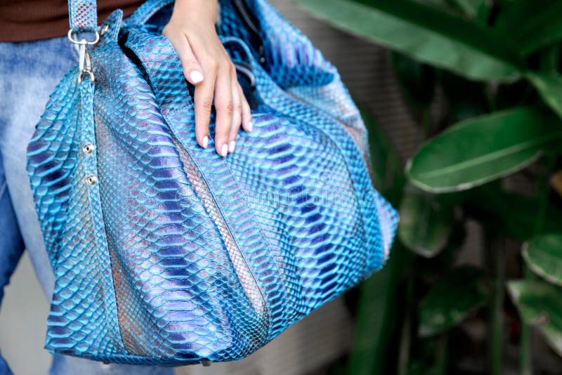 Trendy Python Classic Blue Leather Big Handbag Woman Hands Stock Photos ...