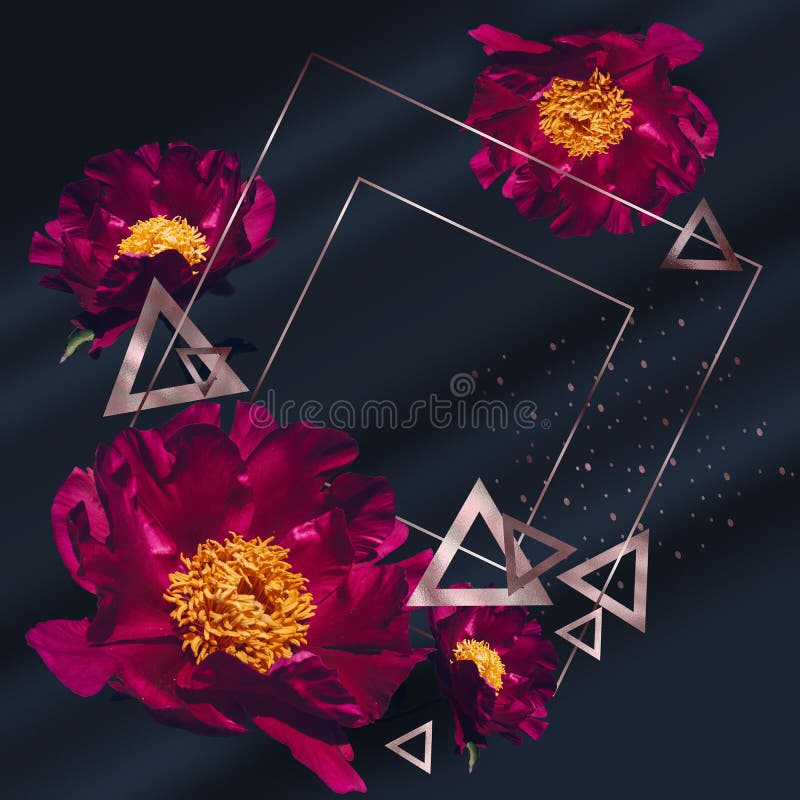 Trendy Rose Gold Frame Decorated with Triangles Stock Illustration ...